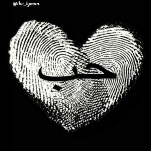 майтан - PLAYBOARD