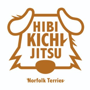 ロシアンブルー - PLAYBOARD