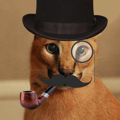 hecker discord videos - PLAYBOARD