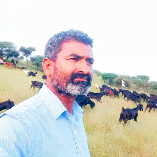 बकरी ईद - PLAYBOARD