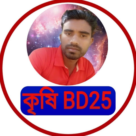 বোরো - PLAYBOARD