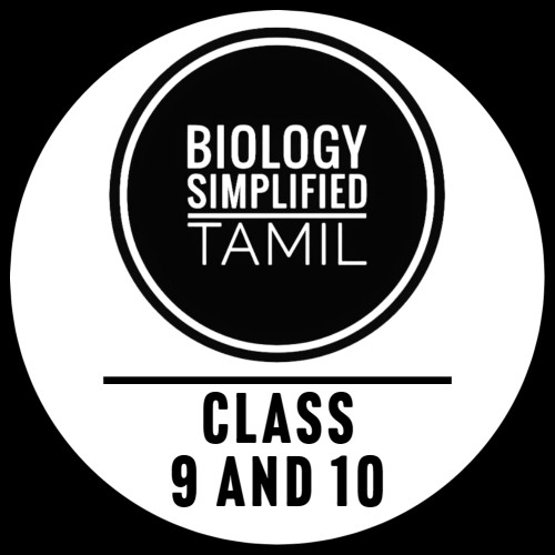 SENTHILNATHAN - PLAYBOARD