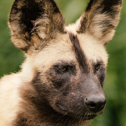 jamie and lauren - PLAYBOARD