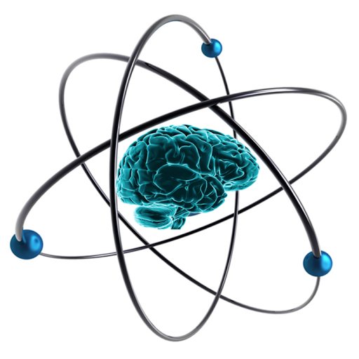 reuben videos - PLAYBOARD