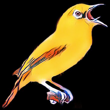 masteran pleci - PLAYBOARD