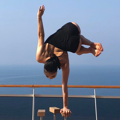 contortionist - PLAYBOARD