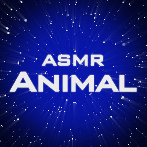 animal food asmr - PLAYBOARD