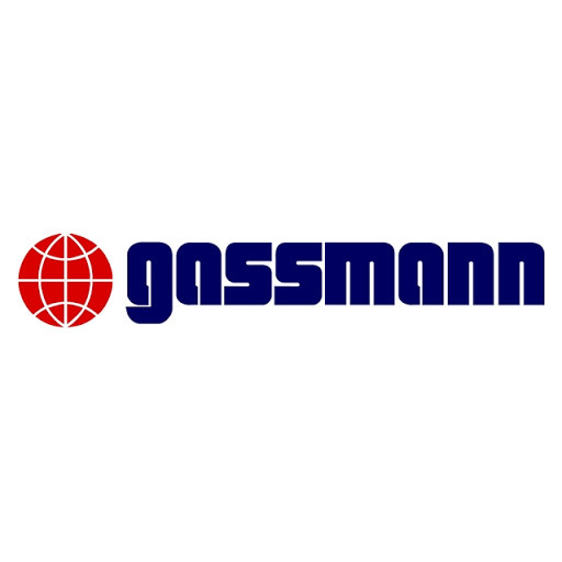 Gassmann - PLAYBOARD