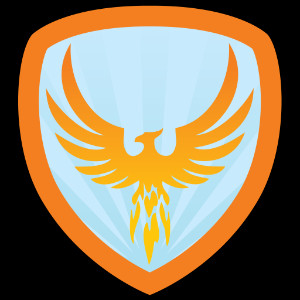 фохоу - PLAYBOARD