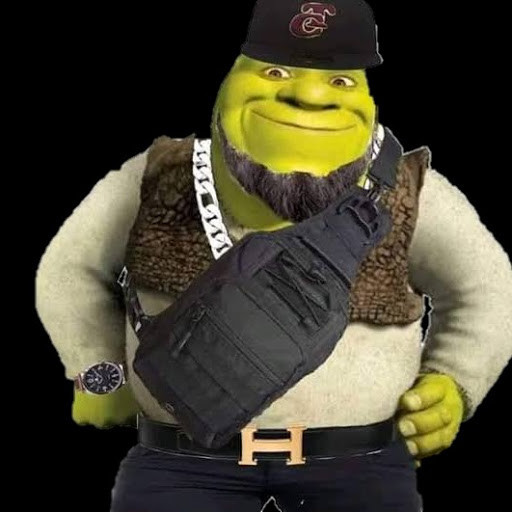 Shrek buchon - PLAYBOARD