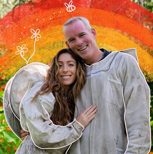 queenbee - PLAYBOARD