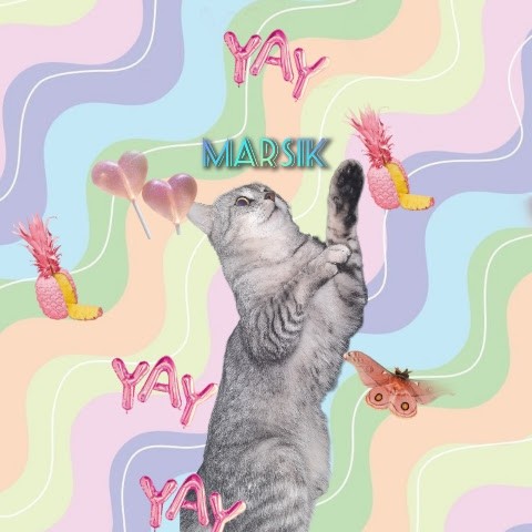 котах - PLAYBOARD