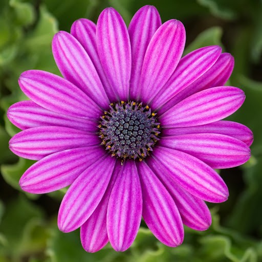 Tg Tf Transformations - PLAYBOARD